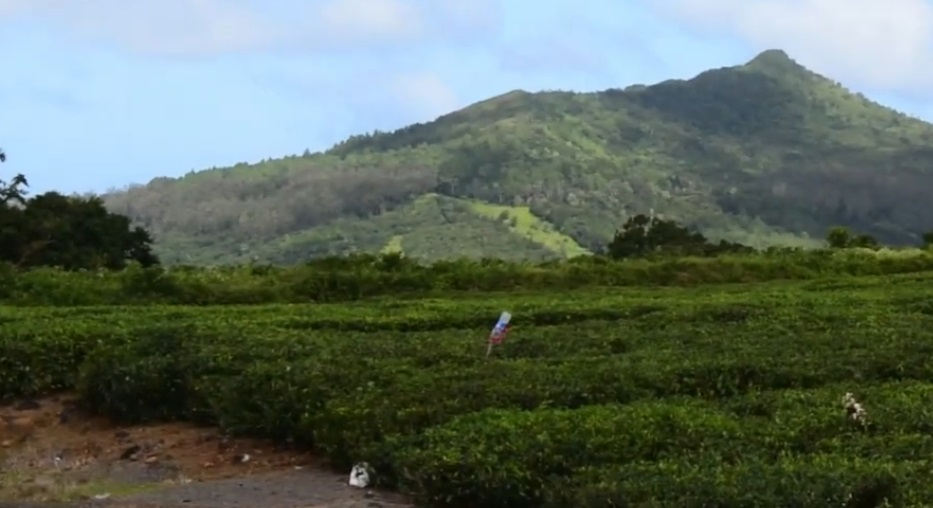 Grand Bois Village Tour Guide Mauritius Destination